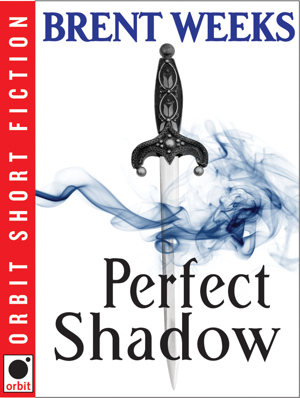 Perfect Shadow Cover & Release Date - Brent Weeks